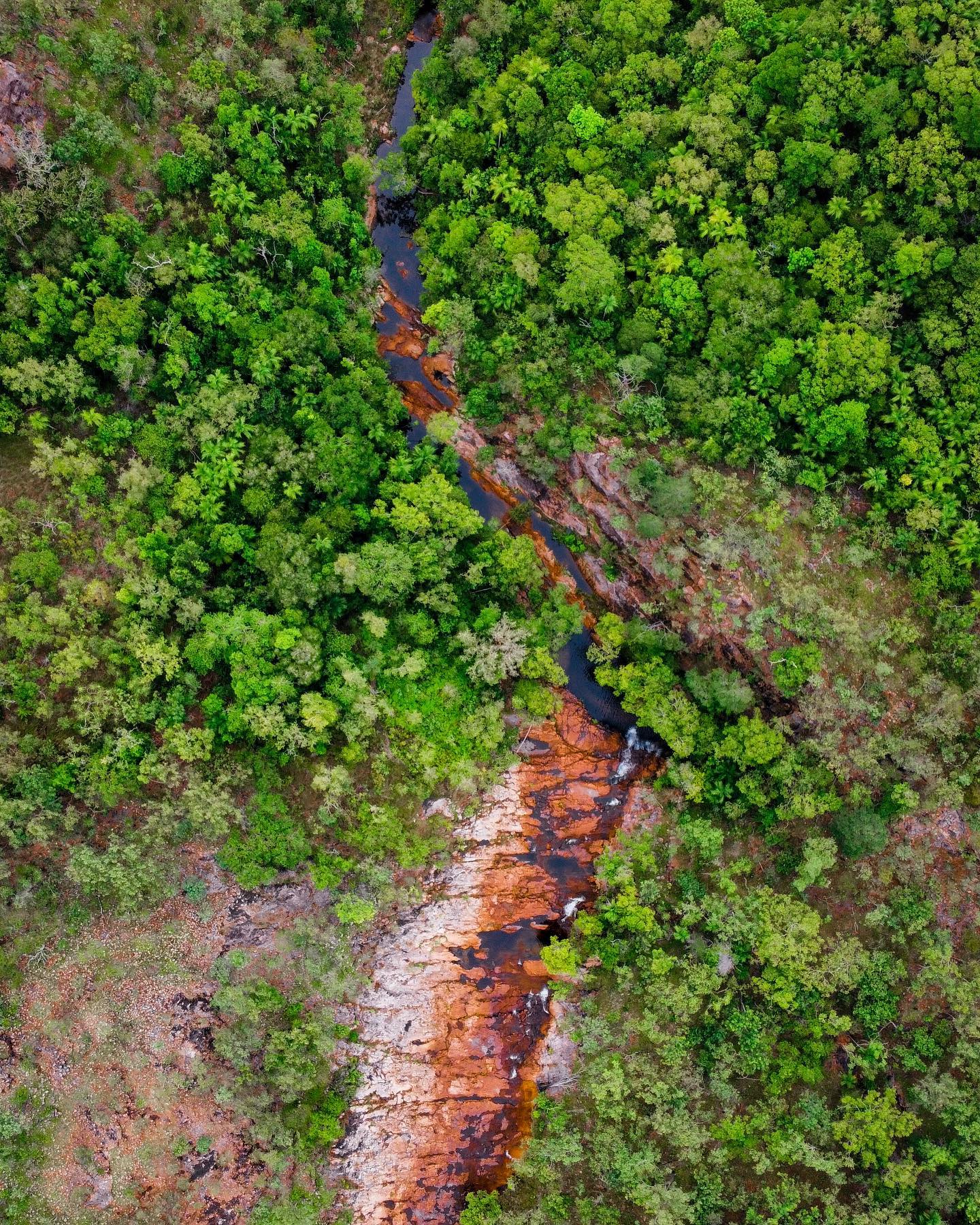 Litchfield National Park | Northern Territory, Australia