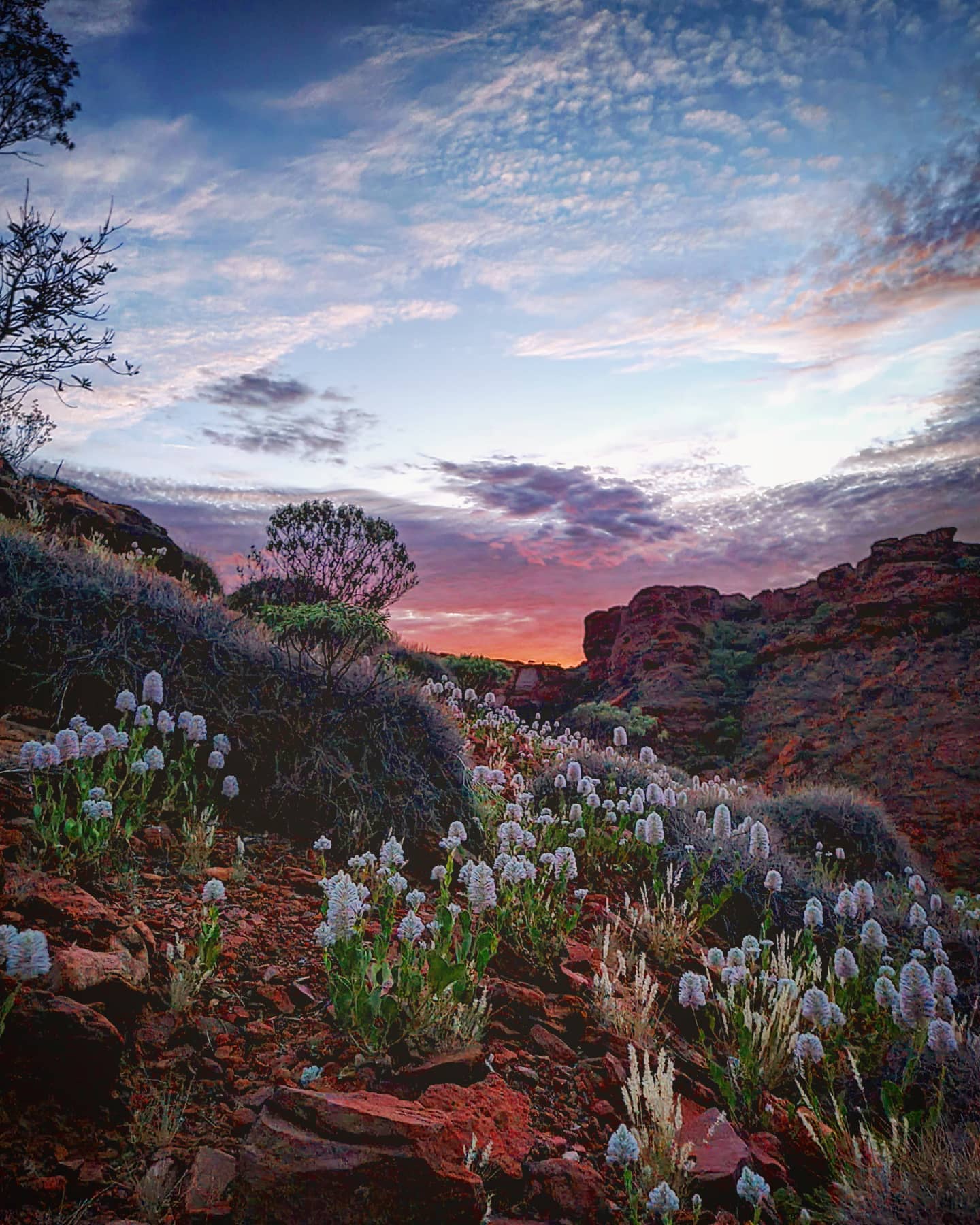 Kings Canyon & Watarrka National Park | Northern Territory, Australia